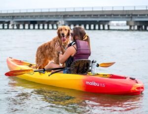 Ocean Kayak - Discover High-Quality Sit-on-Top Kayaks for Your Water ...